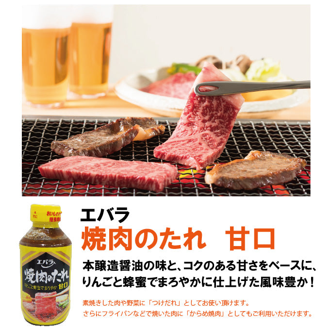 EBARA YAKINIKU NO TARE SAUCE MILD FLAVOR 300ML – HIFUMI